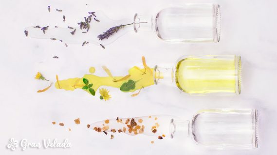 Extratos vegetais: que tipos há, diferenças e como são usados